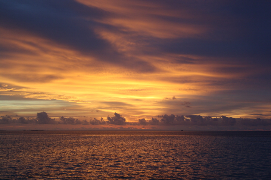 DPP_0130 – prinlume.com