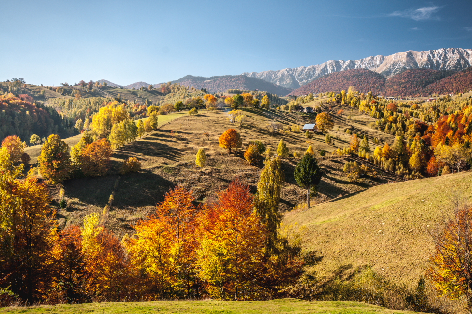 Satul Pestera at its best! – prinlume.com