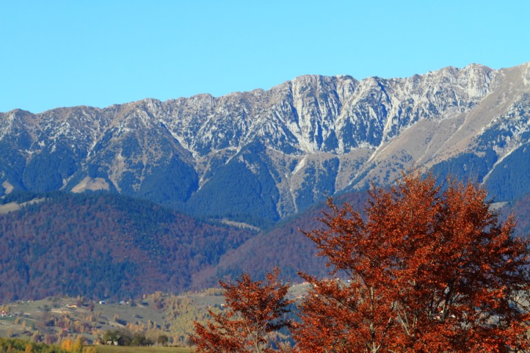 Inn on Balaban – prinlume.com